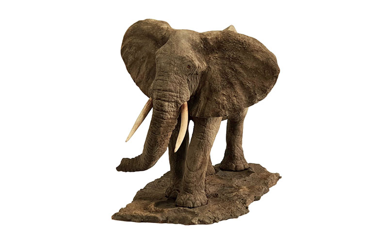 Cafmeyer Gallery Knokke-Heist - Izindlovu